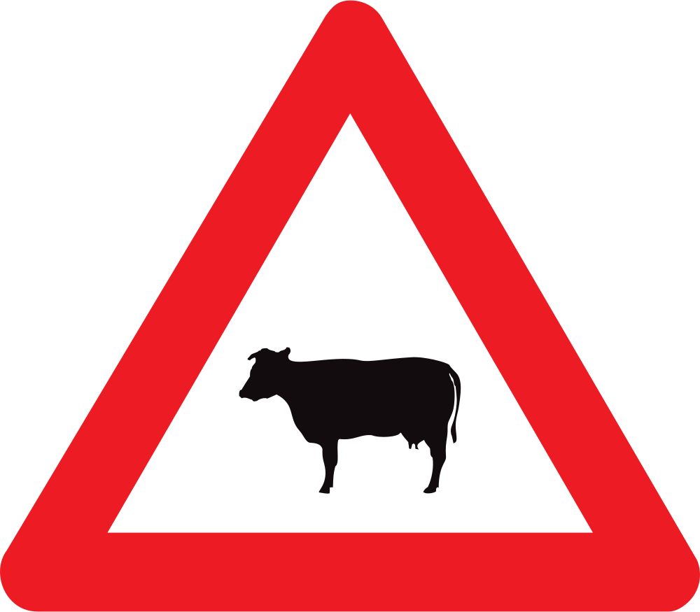 Warning Signs-2 - Saudi Drivers Test